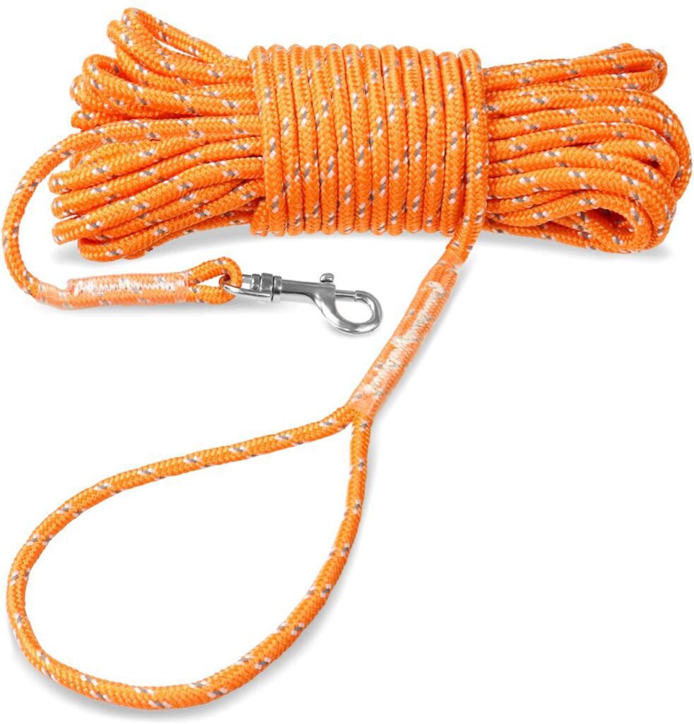 The Best Dog Training Essentials | Tested Dog Training Supplies ...